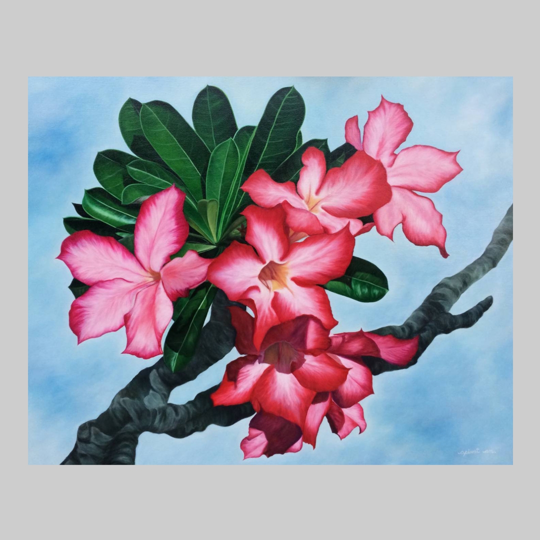 Adenium - HOLE OF ART